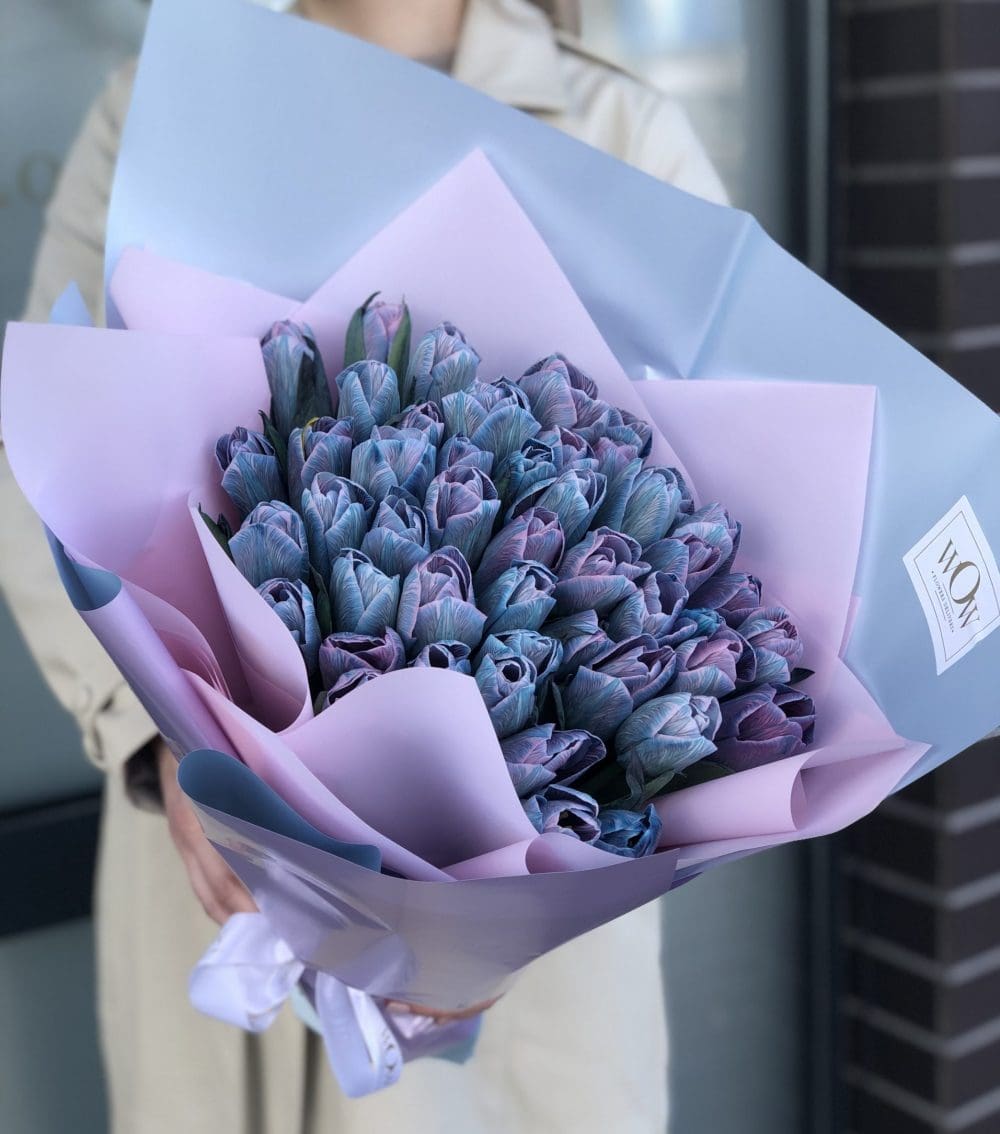 VIP Tulpės "Pastel Blue" | wowflowers.lt